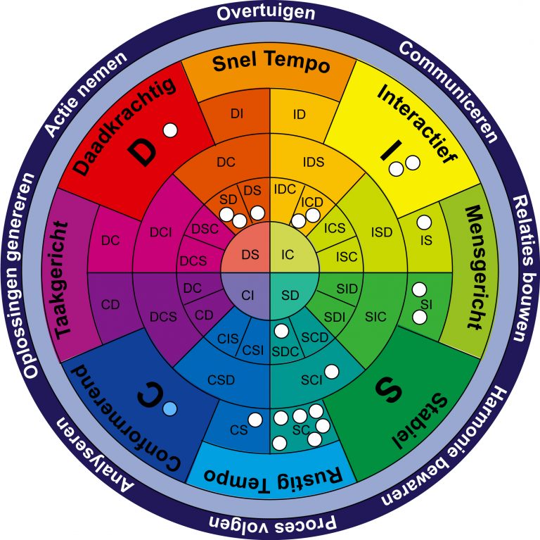 Workshop DISC met het team - Skills2Go
